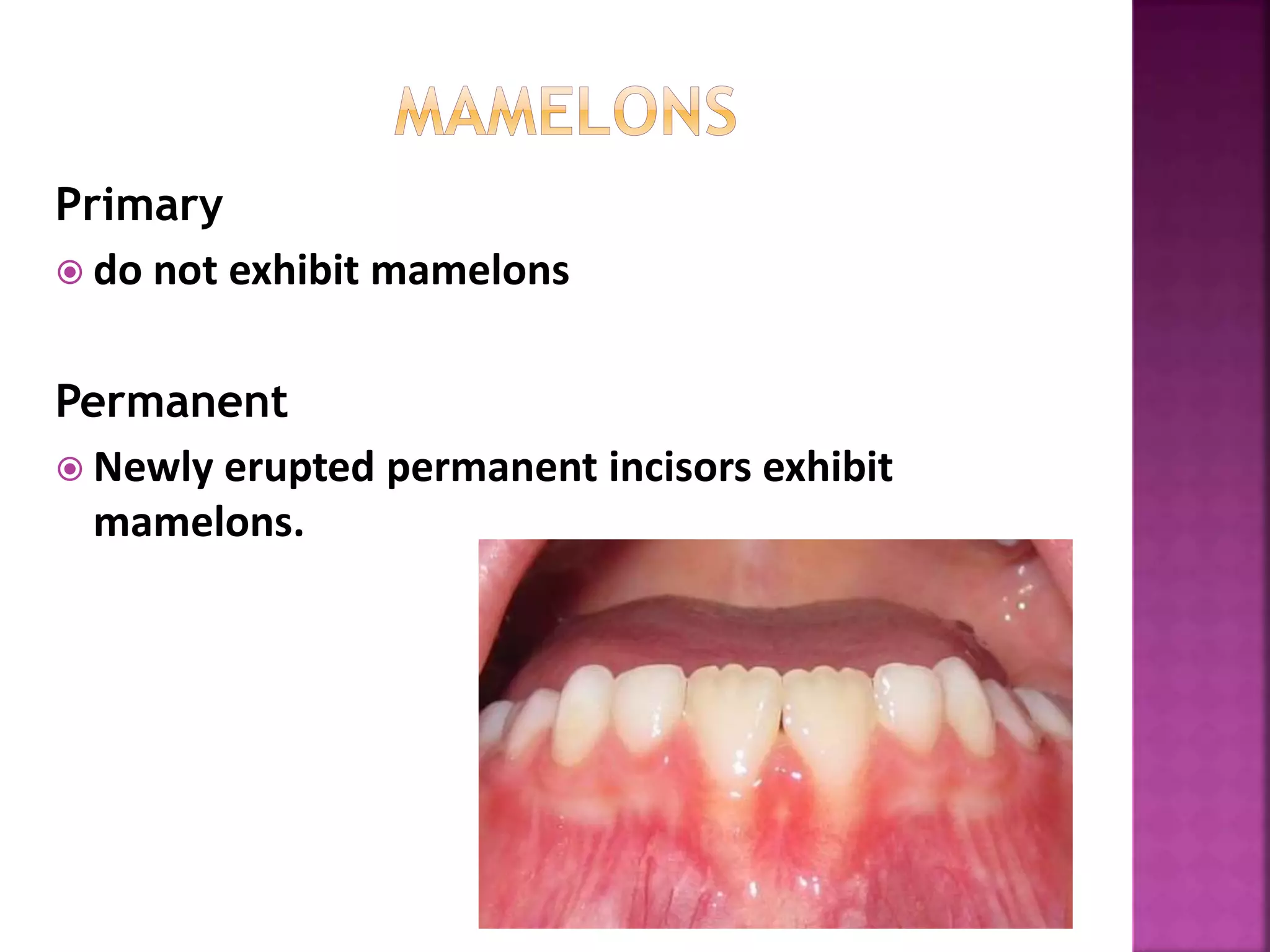 Difference between Primary and permanent teeth | PPTX