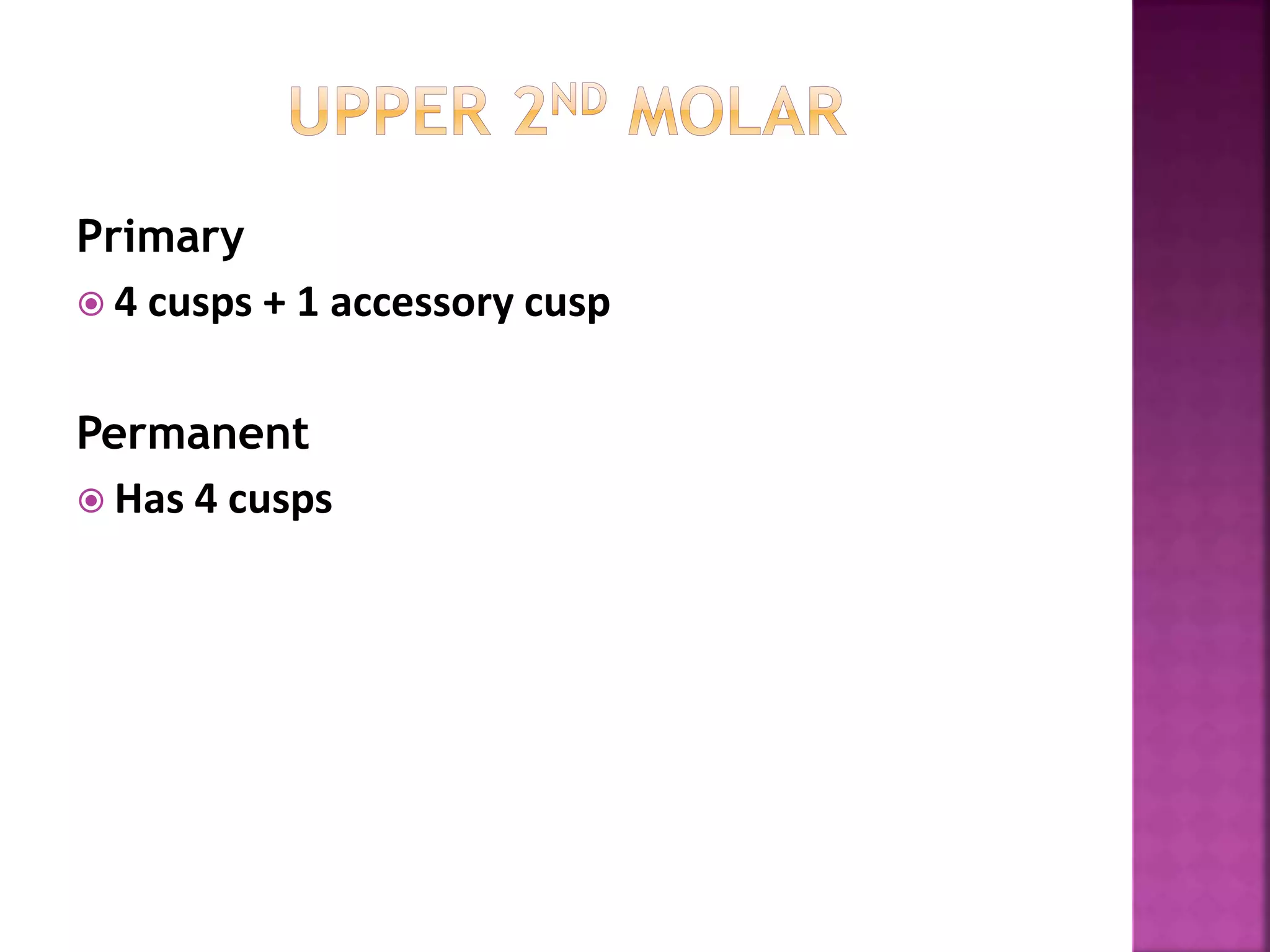 Difference between Primary and permanent teeth | PPTX