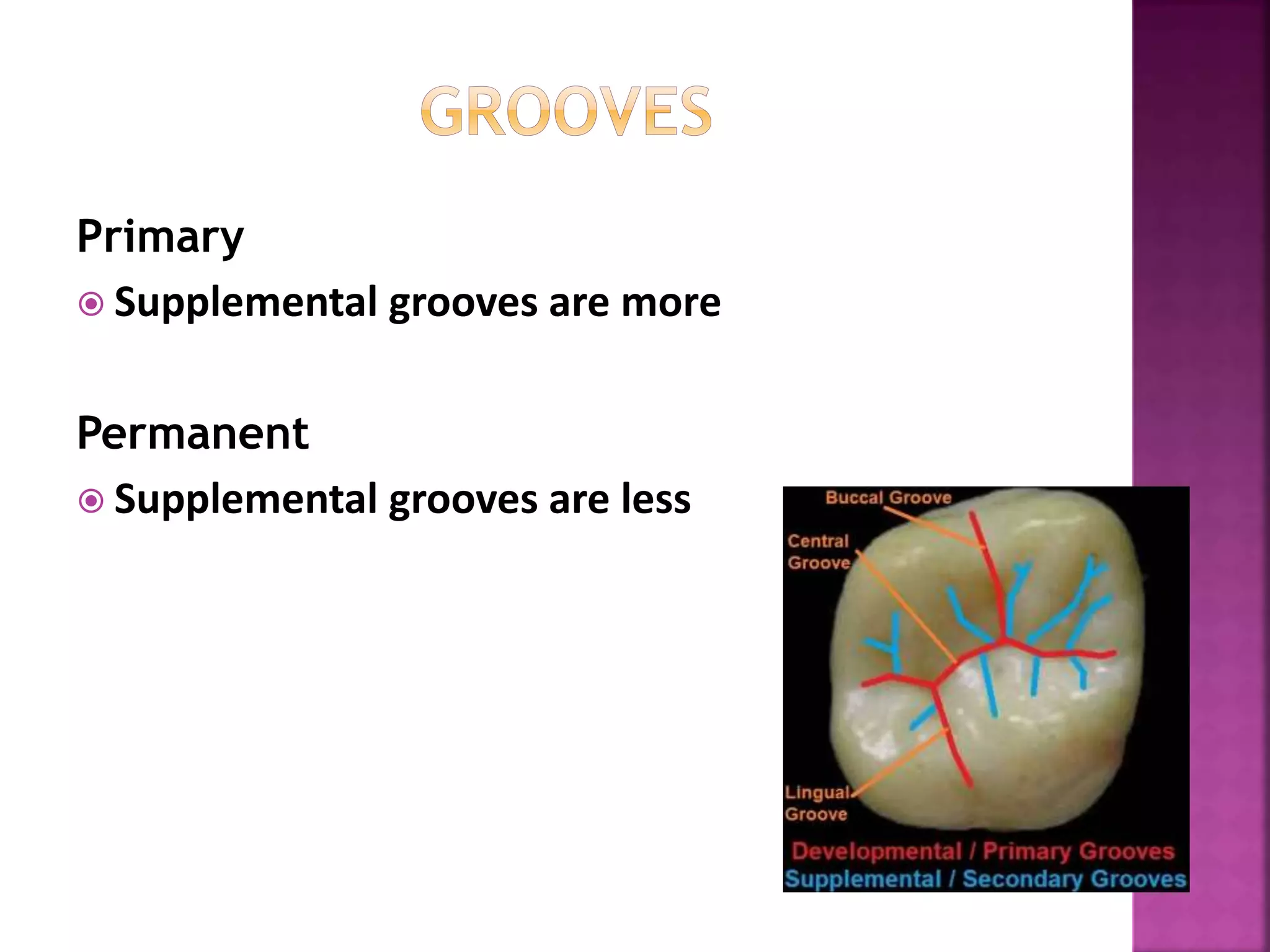 Difference between Primary and permanent teeth | PPTX