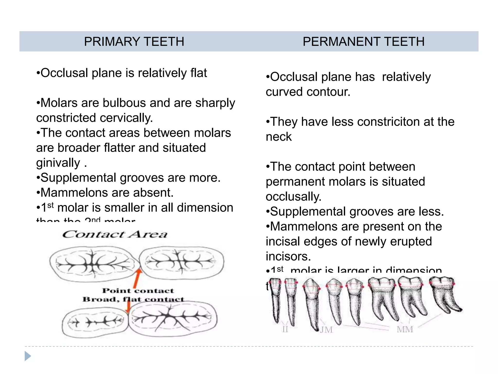 difference between primary and permanent tooth | PPTX