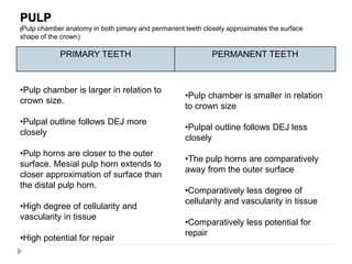 difference between primary and permanent tooth | PPTX