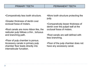difference between primary and permanent tooth | PPTX