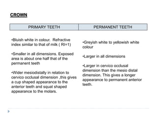difference between primary and permanent tooth | PPTX