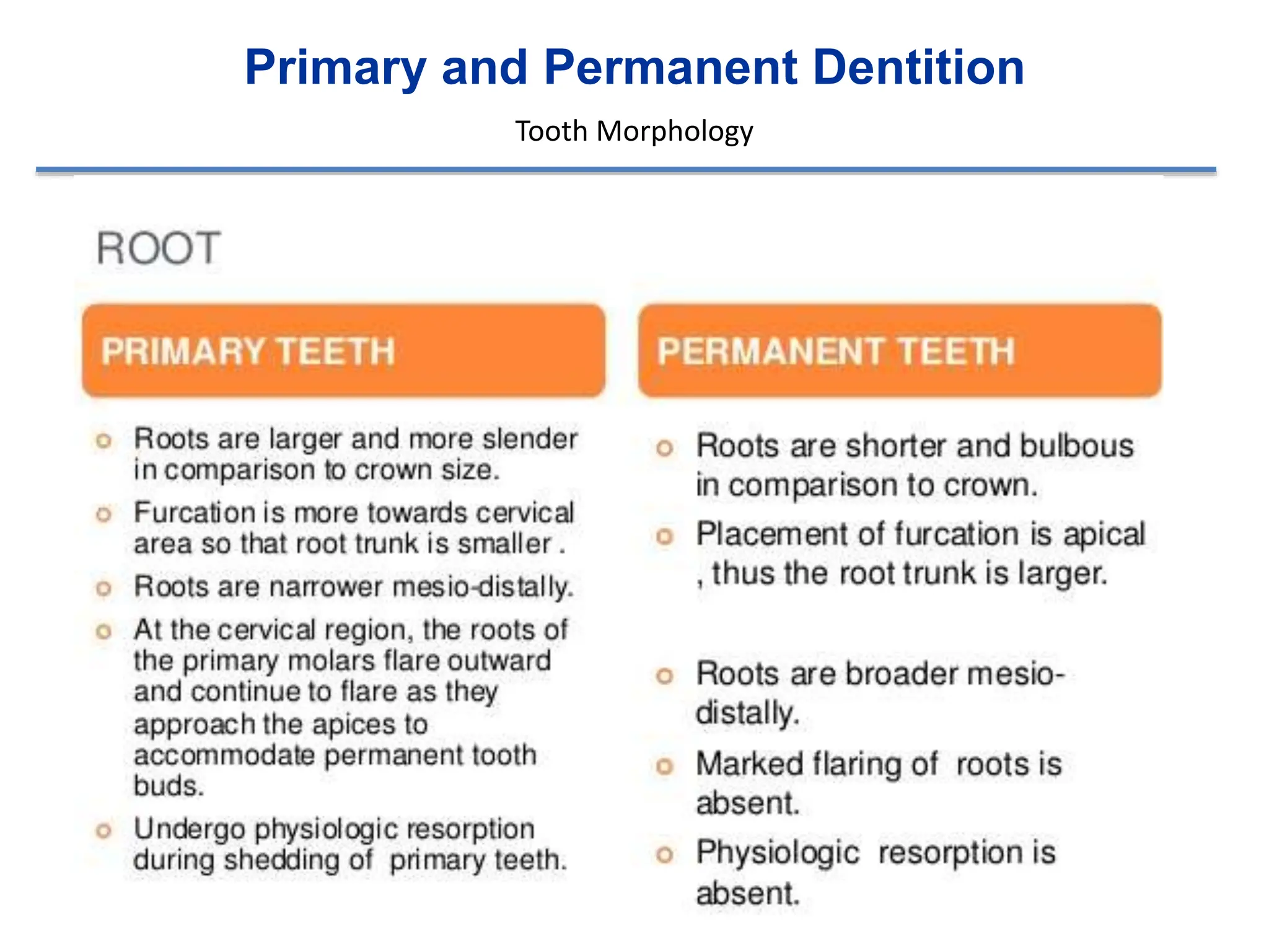 Tooth Morphology -Primary and Permanent Teeth.pptx | Dental Health ...