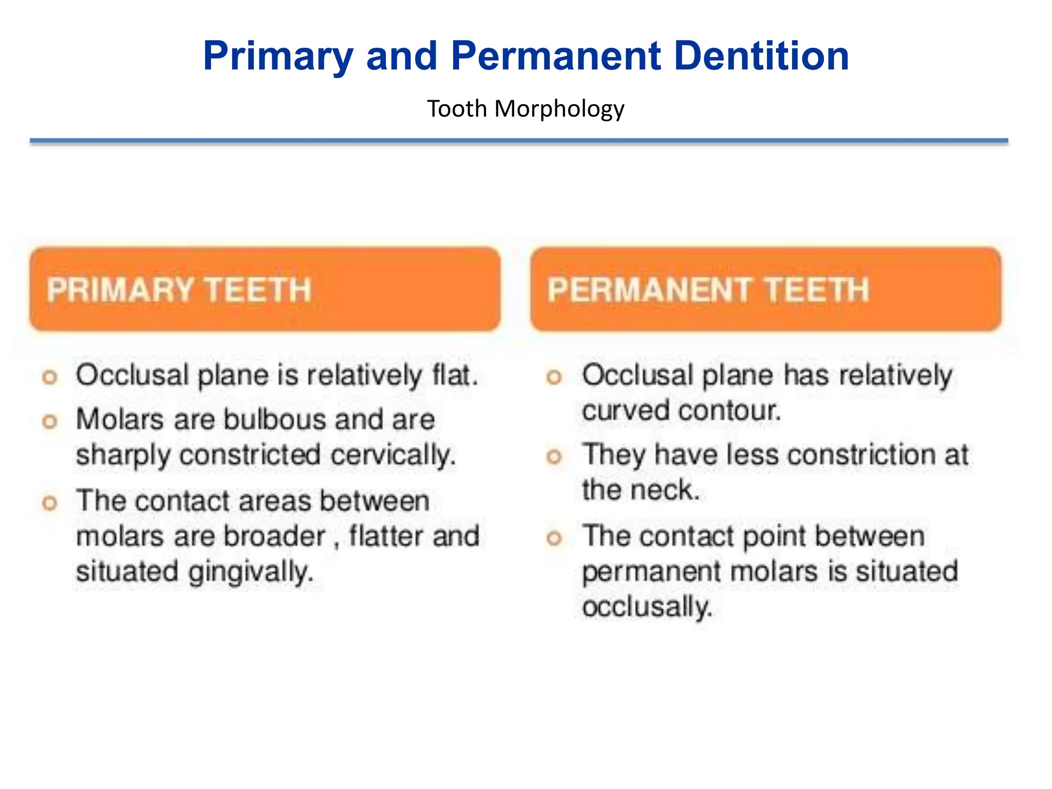 Tooth Morphology -Primary and Permanent Teeth.pptx