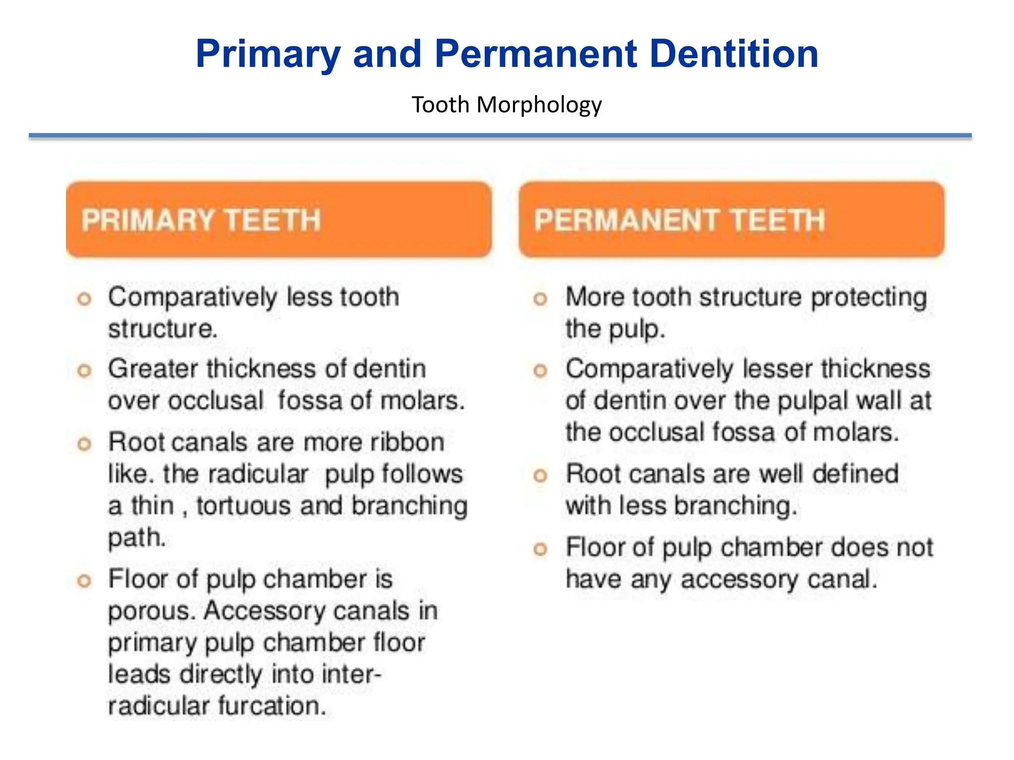 Tooth Morphology -Primary and Permanent Teeth.pptx | Dental Health ...