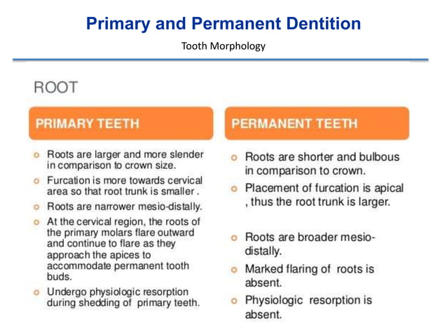 Tooth Morphology -Primary and Permanent Teeth.pptx