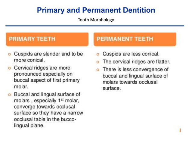 Tooth Morphology -Primary and Permanent Teeth.pptx
