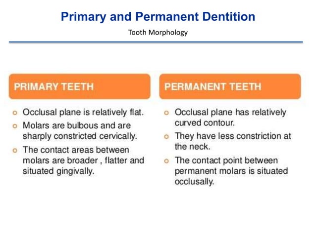Tooth Morphology -Primary and Permanent Teeth.pptx