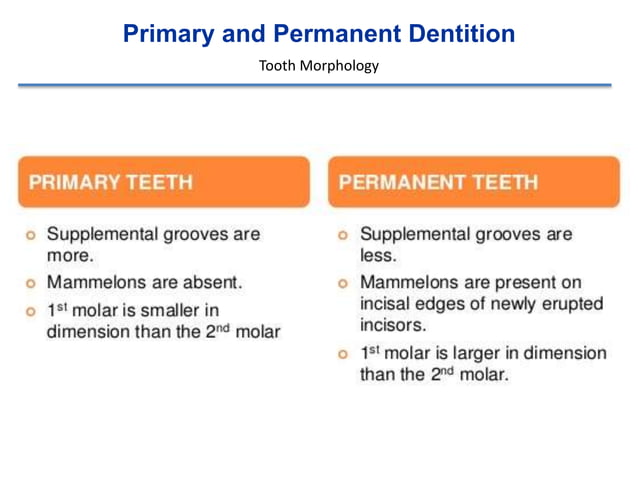 Tooth Morphology -Primary and Permanent Teeth.pptx