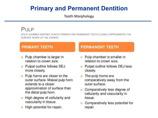 Tooth Morphology -Primary and Permanent Teeth.pptx