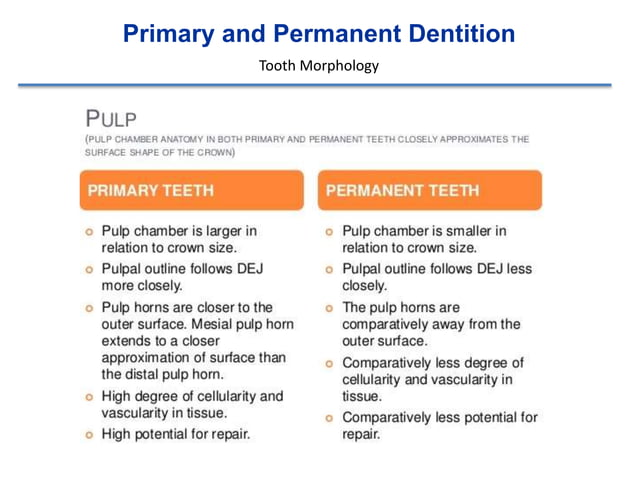 Tooth Morphology -Primary and Permanent Teeth.pptx
