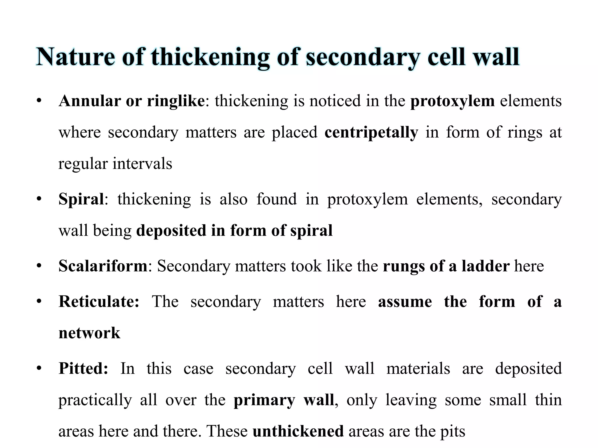 Primary and secondary cell wall | PPTX