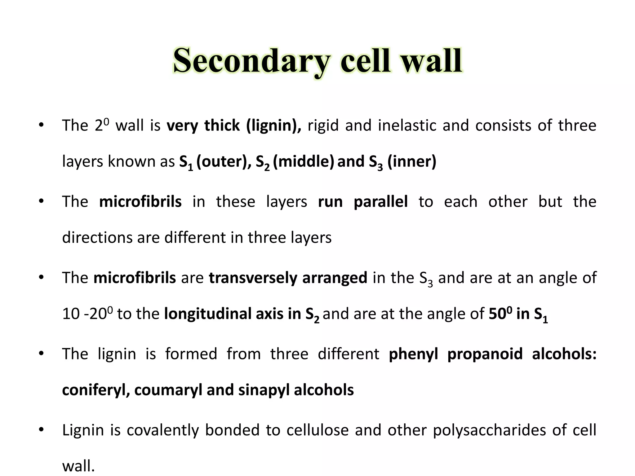 Primary and secondary cell wall | PPTX