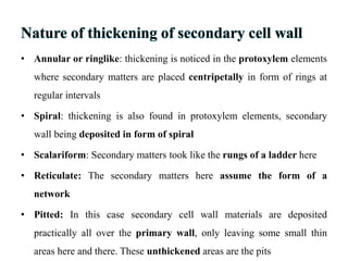 Primary and secondary cell wall | PPTX