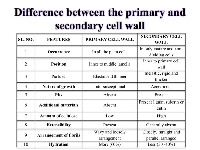 Primary and secondary cell wall | PPTX