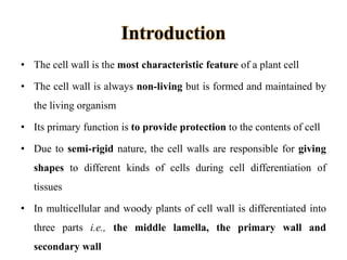 Primary and secondary cell wall | PPTX