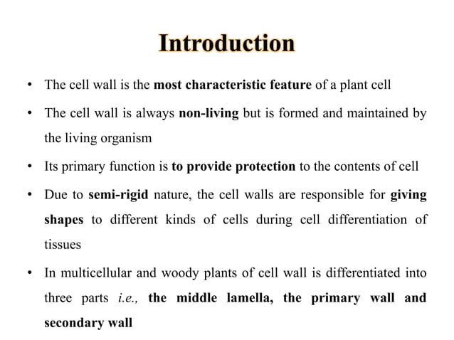 Primary and secondary cell wall | PPTX
