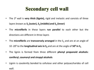 Primary and secondary cell wall | PPTX