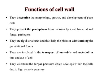 Cell Wall Function