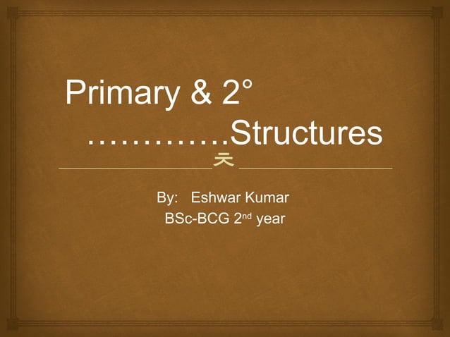 Primary structures geology | PDF