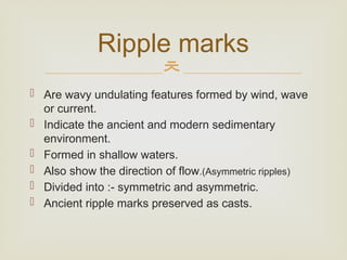 Primary structures geology | PDF