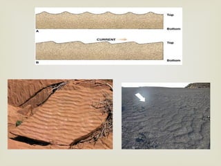 Primary structures geology | PDF