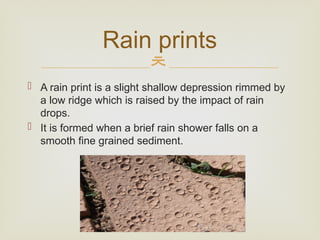 Primary structures geology | PDF
