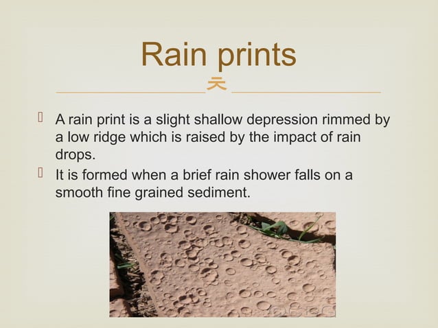 Primary structures geology | PDF
