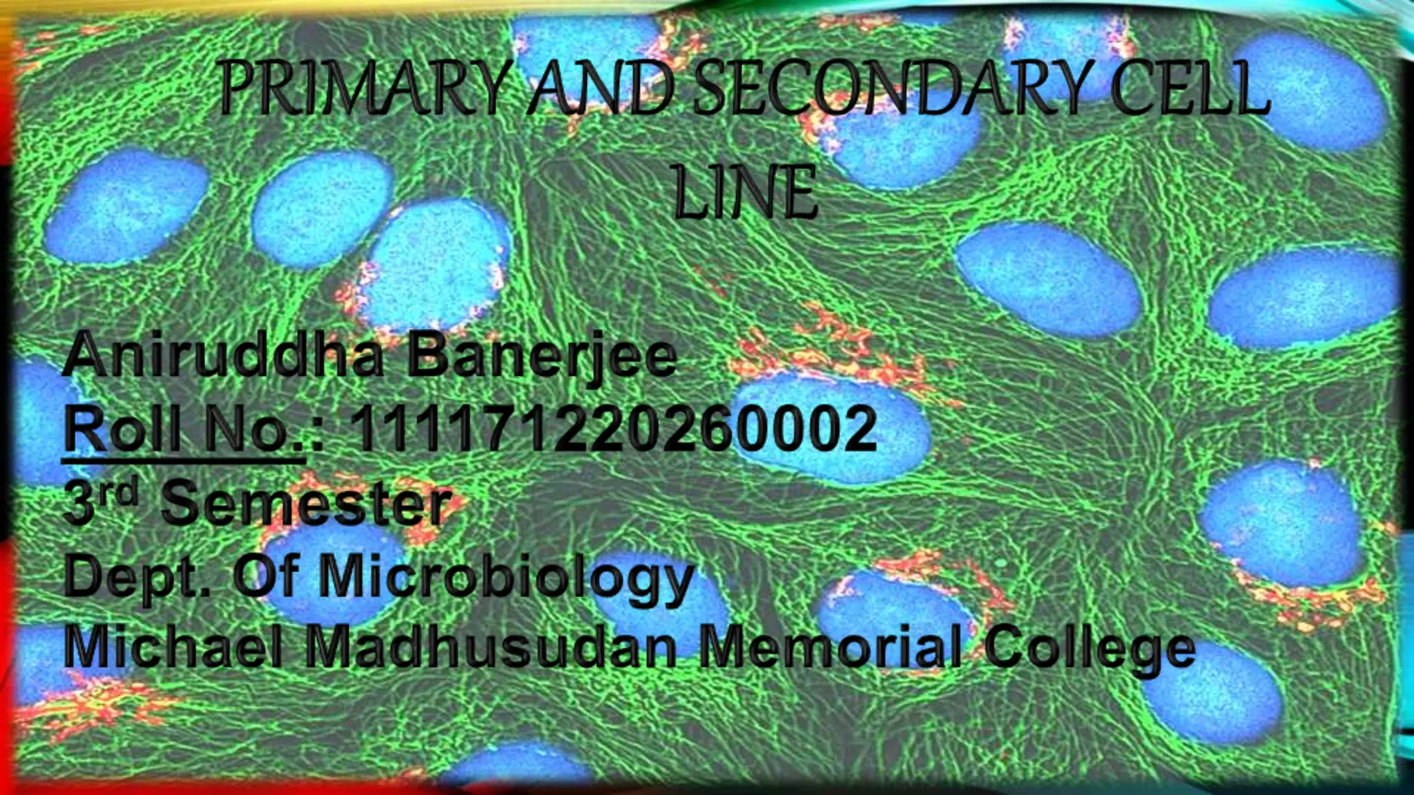 Primary and Secondary Cell Line | PPTX