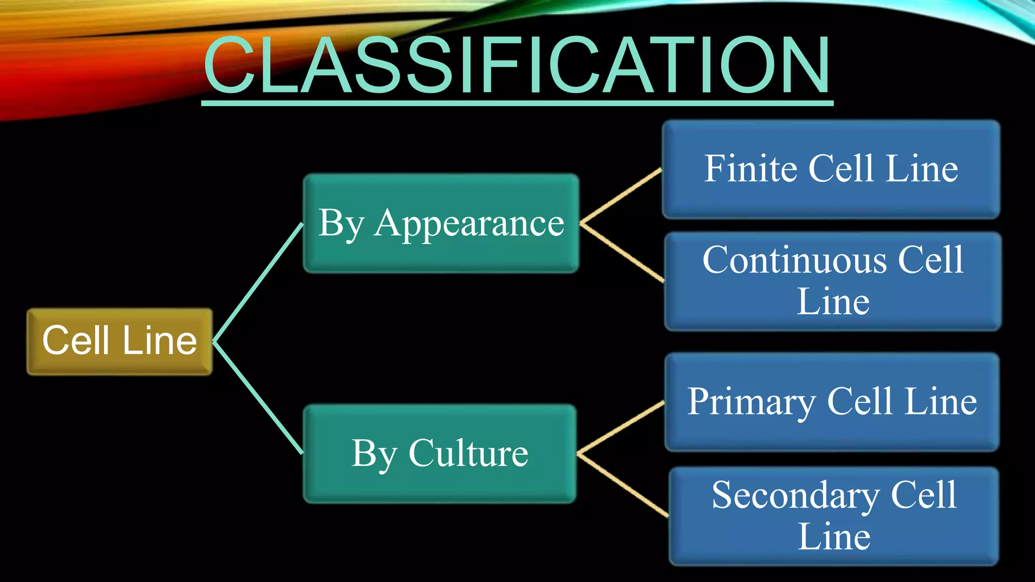 Primary and Secondary Cell Line | PPTX