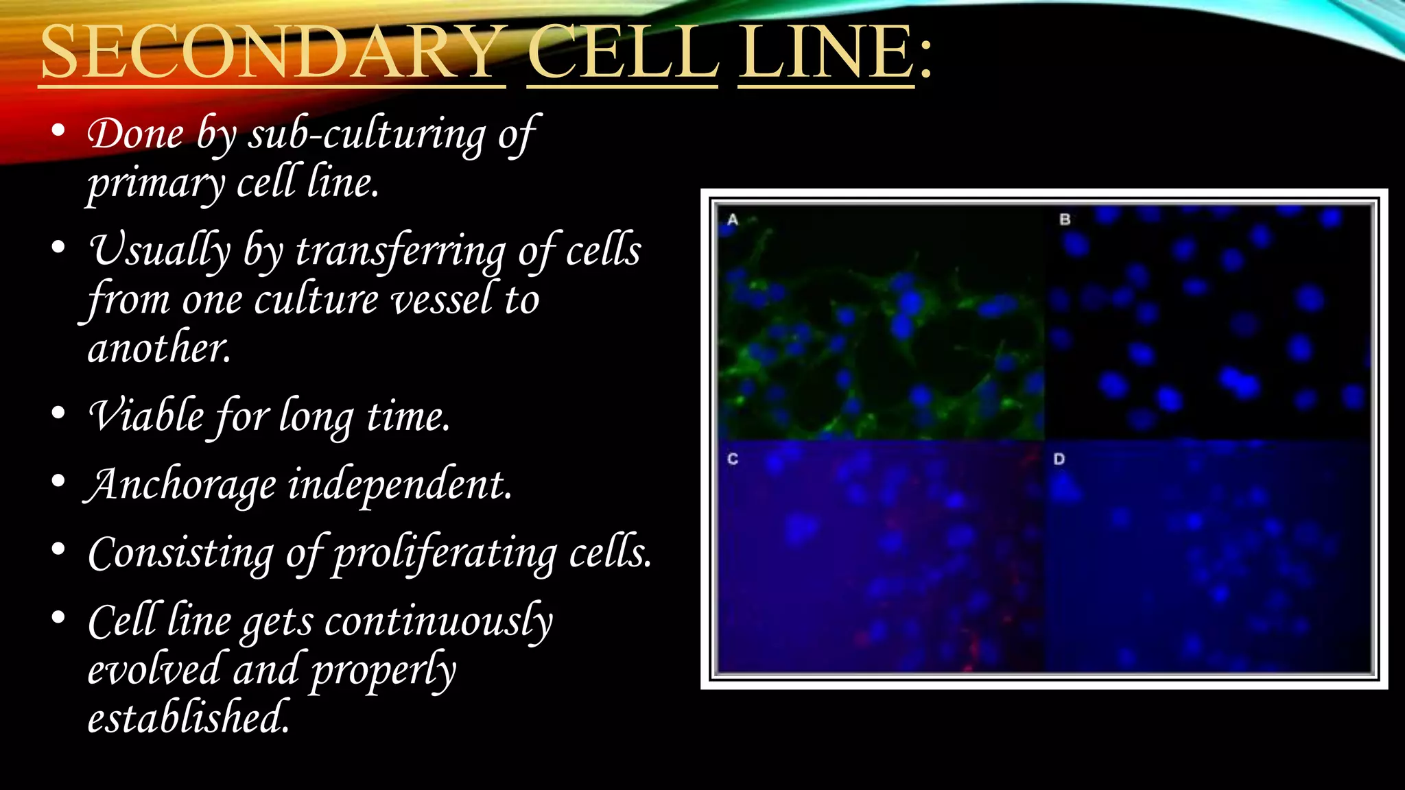 Primary and Secondary Cell Line | PPTX