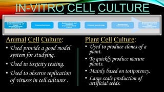 Primary and Secondary Cell Line | PPTX