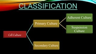 Primary and Secondary Cell Line | PPTX