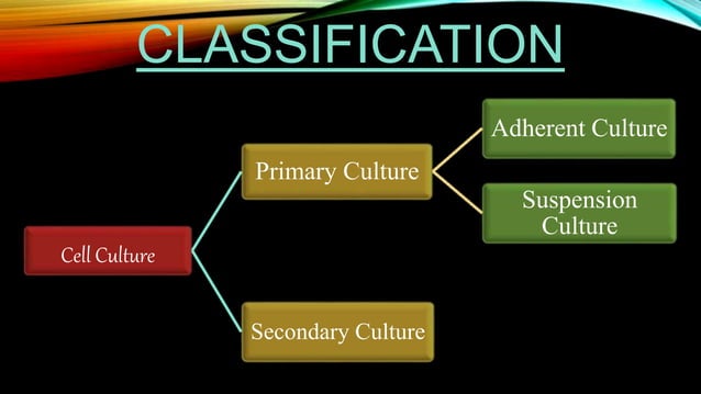Primary and Secondary Cell Line | PPTX