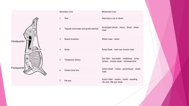 Primary and secondary cuts of meat | PPTX