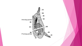 Primary and secondary cuts of meat | PPTX