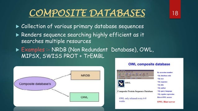 Primary and secondary databases ppt by puneet kulyana | PPTX | Databases | Computer Software and ...