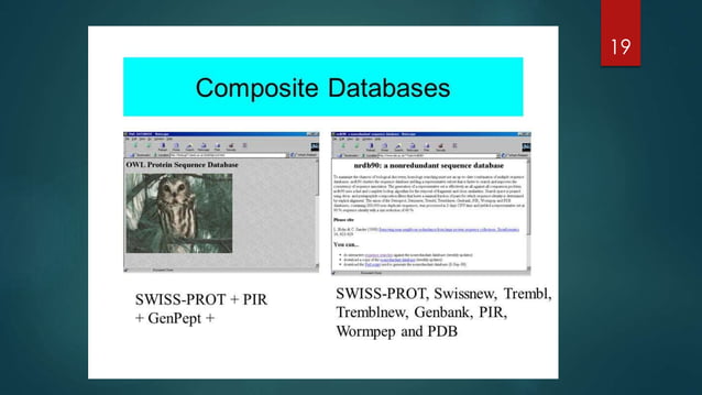 Primary and secondary databases ppt by puneet kulyana | PPTX | Databases | Computer Software and ...