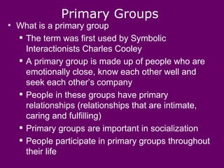 Primary and secondary groups | PPT