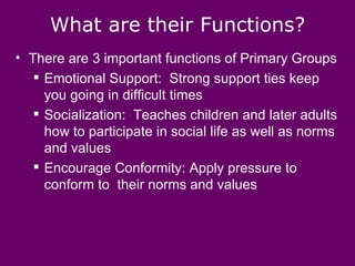Primary and secondary groups | PPT