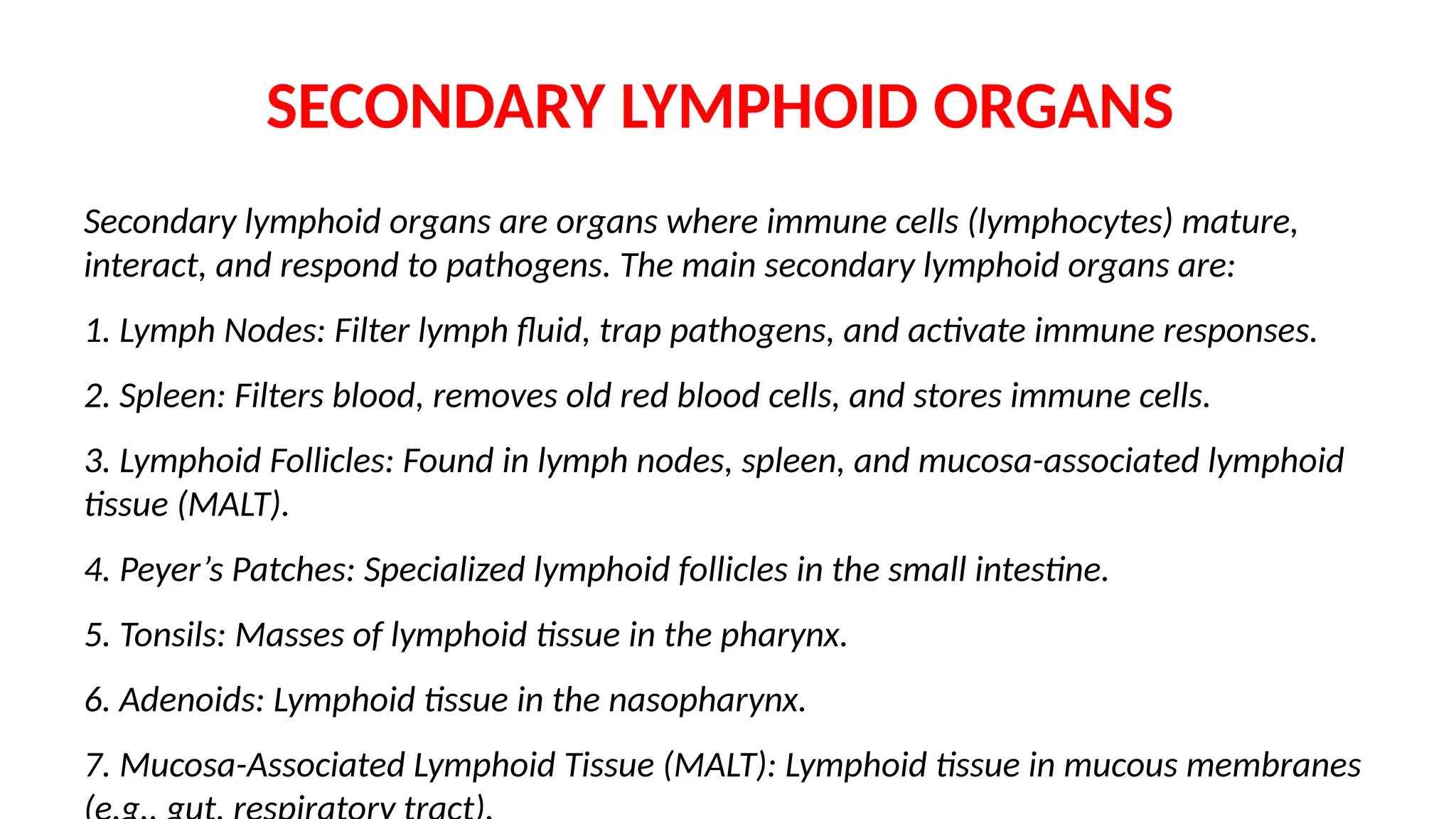 Primary and Secondary Lymphoid Organ ppt | PPTX