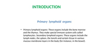 Primary and Secondary Lymphoid Organ ppt | PPTX