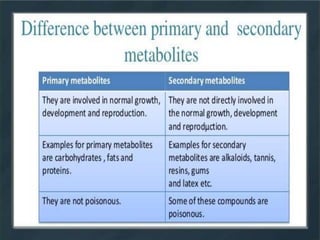 Primary and secondary metabolites | PPTX