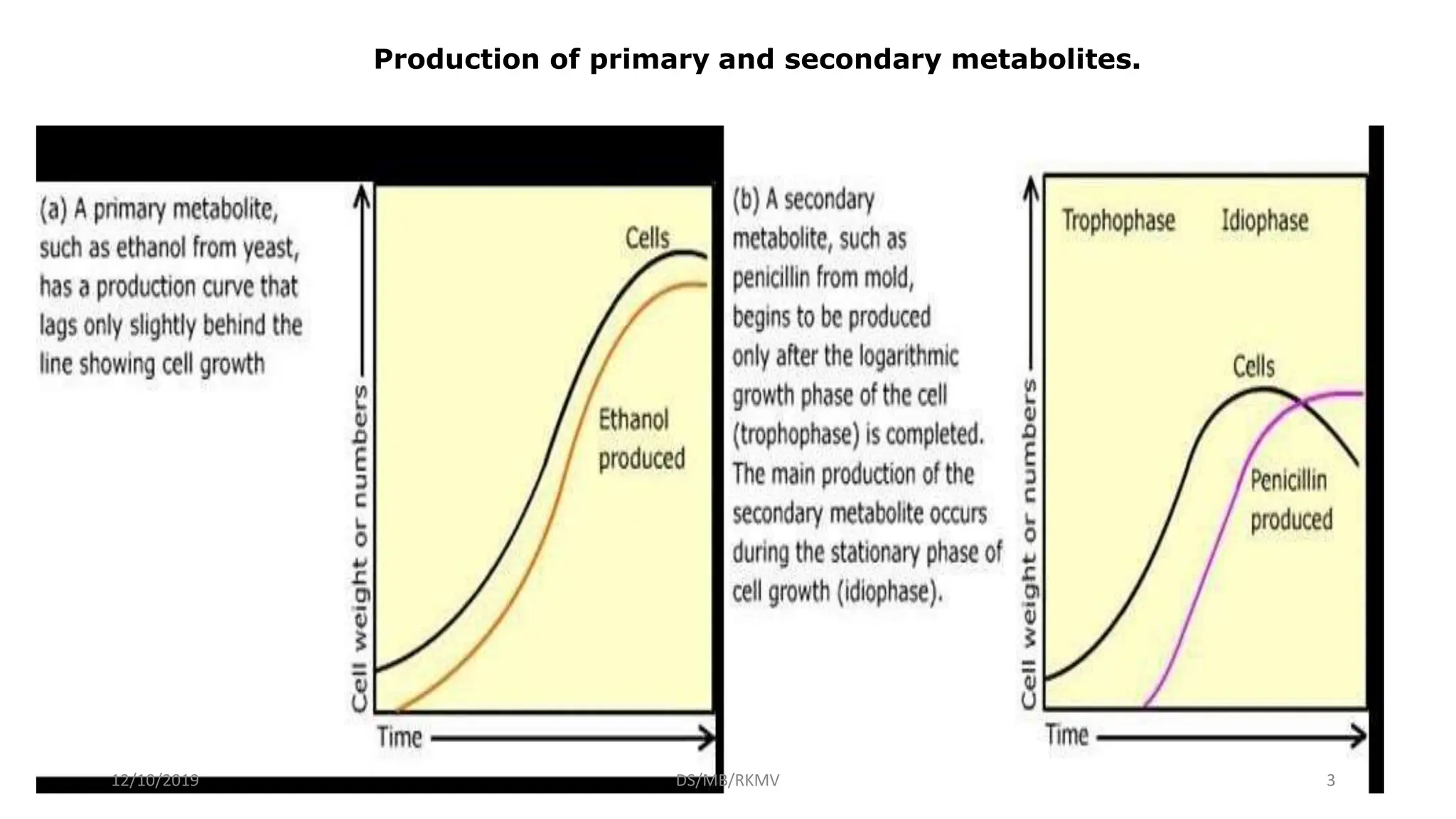 Primary and secondary metabolites.pptx PRIMARY AND SECONDARY | PPTX