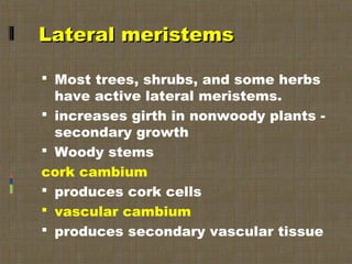 Primary and secondary growth | PPT