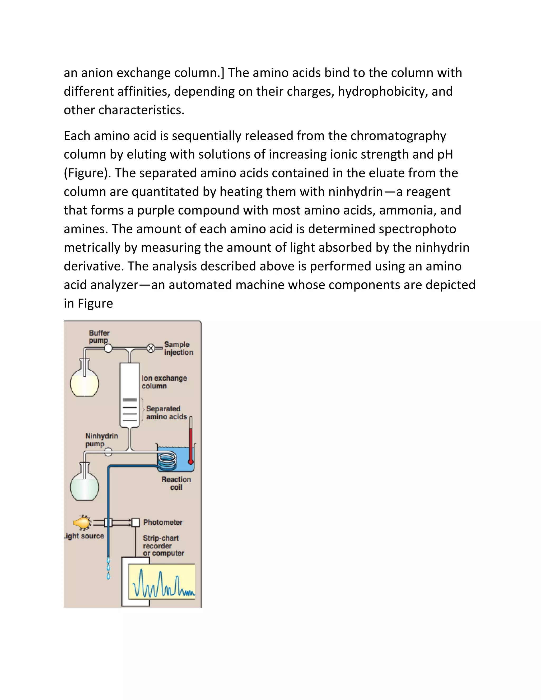 Primary and Secondary str -protein.pdf