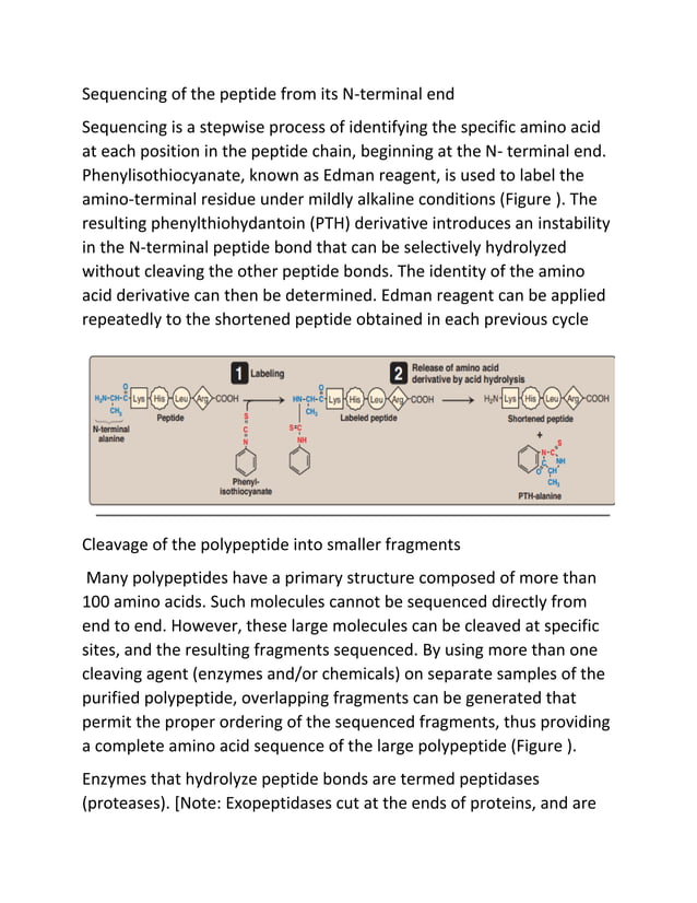 Primary and Secondary str -protein.pdf