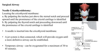 Primary assessment in maxillofacial trauma.pptx