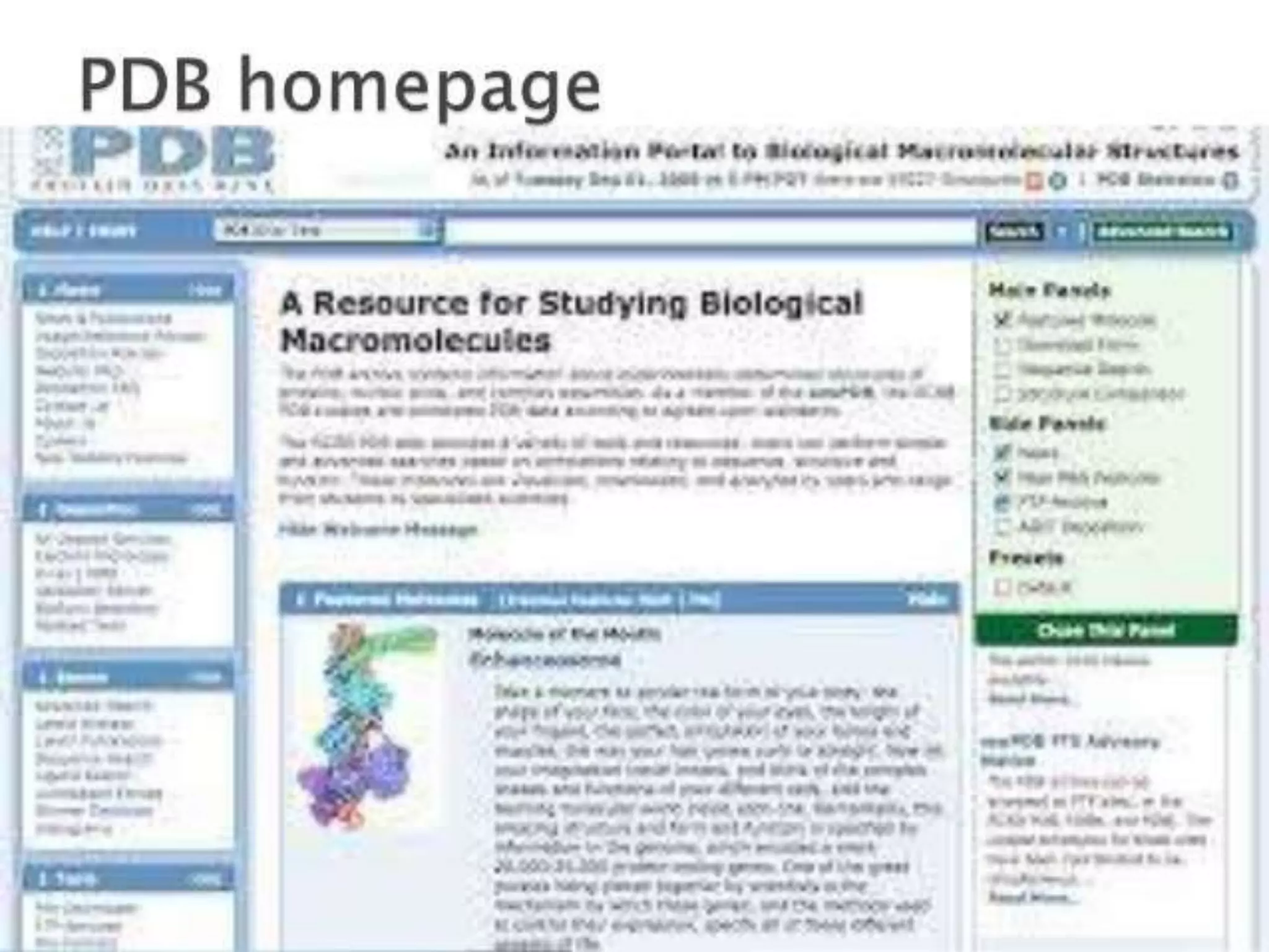 Primary Bioinformatics Database Pptx